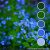 11 Beautiful Blue And Green Color Palettes (With Hex Codes)