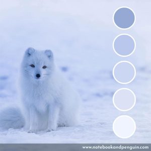 9 Beautiful Pastel Blue Color Palette Ideas: With Hex Codes