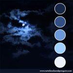 7+ Versatile Navy Blue Color Palette Ideas [With Hex Codes]