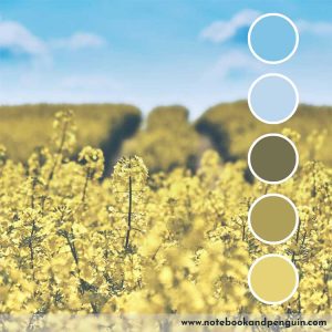 9+ Blue And Yellow Color Palettes (Hex Codes Included)