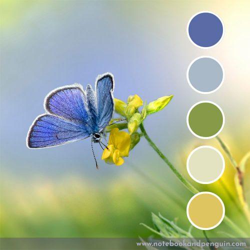 11 Beautiful Blue And Green Color Palettes (With Hex Codes)