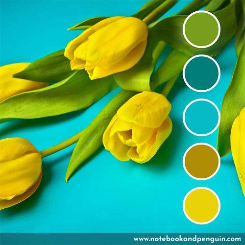 9+ Blue And Yellow Color Palettes (Hex Codes Included)