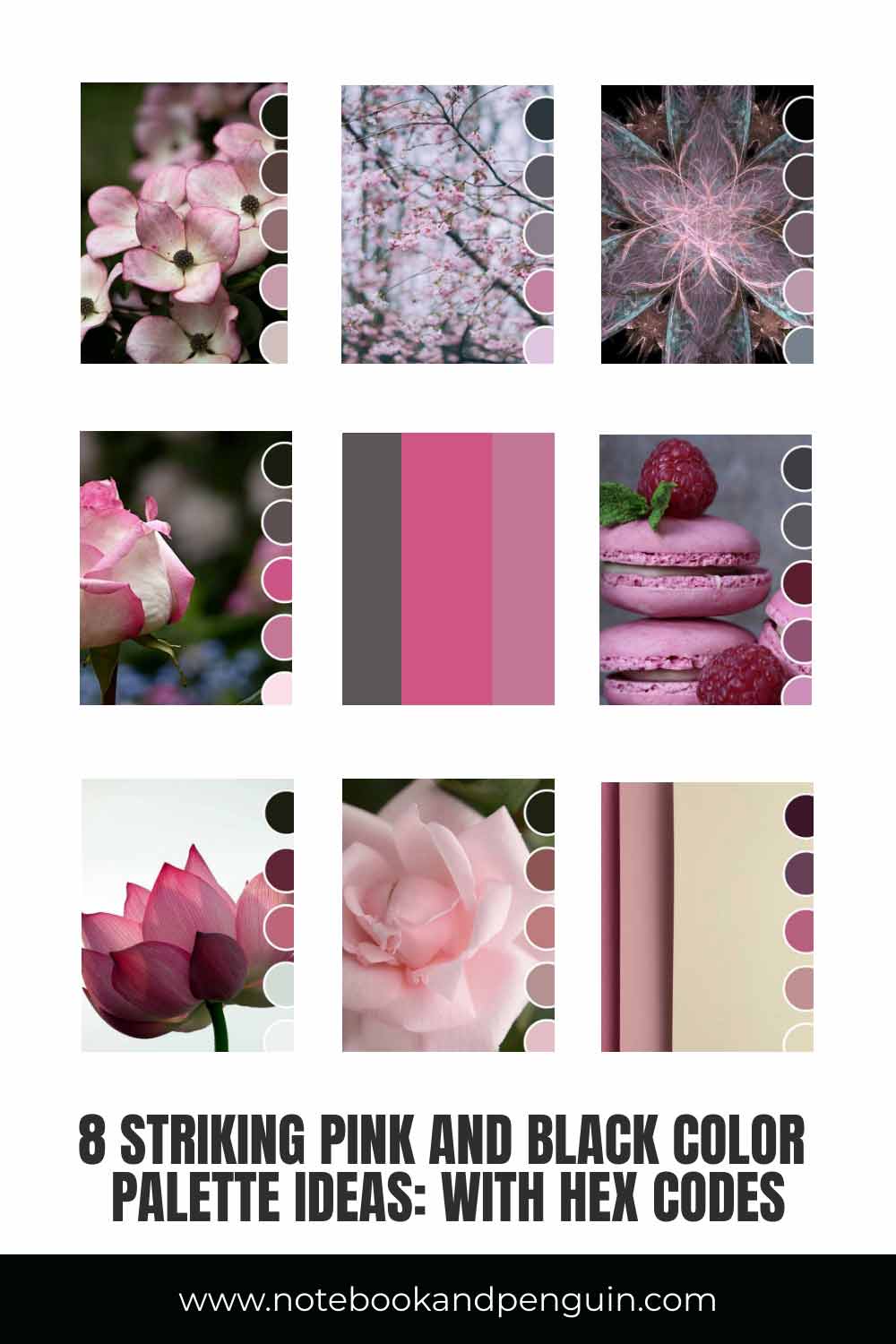 8 Striking Pink And Black Color Palette Ideas: With Hex Codes