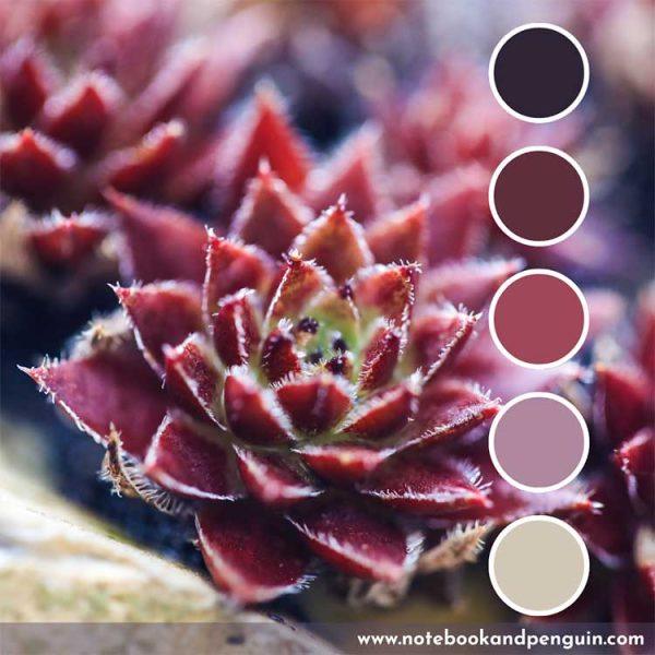 9 Beautiful Burgundy Color Palette Ideas (With Hex Codes)