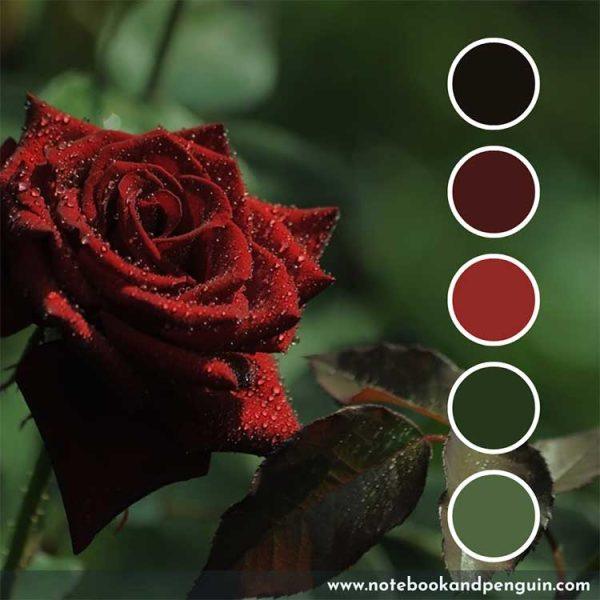 9 Beautiful Burgundy Color Palette Ideas (With Hex Codes)