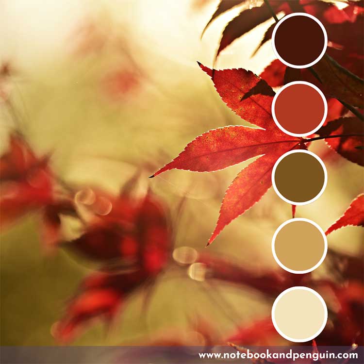 9 Beautiful Burgundy Color Palette Ideas (With Hex Codes)