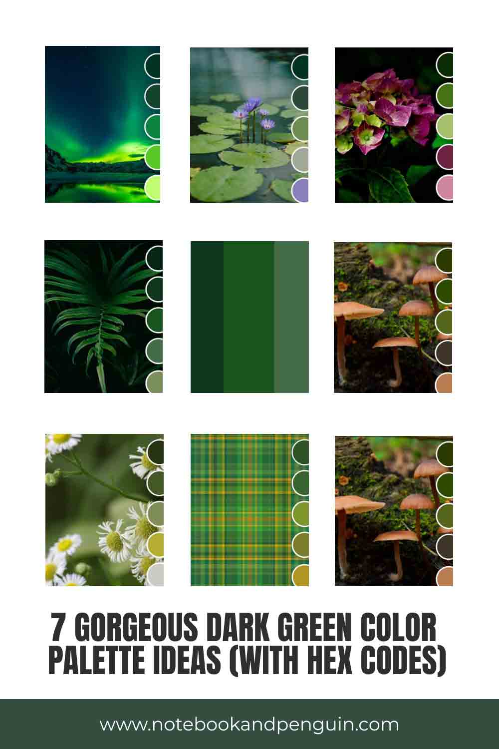 7 Gorgeous Dark Green Color Palette Ideas (With Hex Codes)