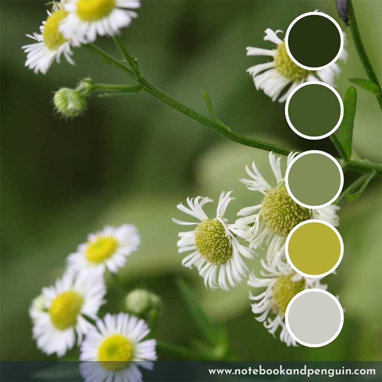 7 Gorgeous Dark Green Color Palette Ideas (With Hex Codes)