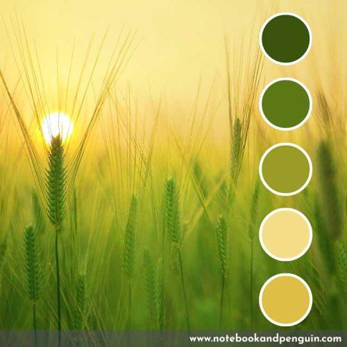 9 Soft Green And Yellow Color Palette Ideas: With Hex Codes