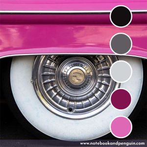 8 Bold Hot Pink Color Palette Ideas (With Hex Color Codes)