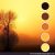 17+ Vibrant Orange Color Palettes (Hex Codes Included)
