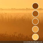 17+ Vibrant Orange Color Palettes (Hex Codes Included)