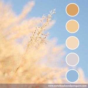 17+ Vibrant Orange Color Palettes (Hex Codes Included)
