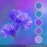7 Pretty Blue & Purple Color Palette Ideas (With Hex Codes)