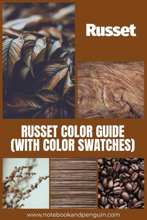 The Best Russet Color Guide [With Hex Codes & Swatches]
