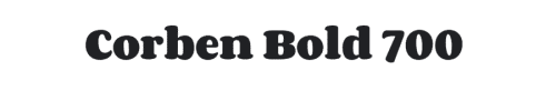 21+ Best Google Fat Face Fonts (With Examples)