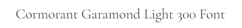 27 Best Thin Google Fonts (With Examples)