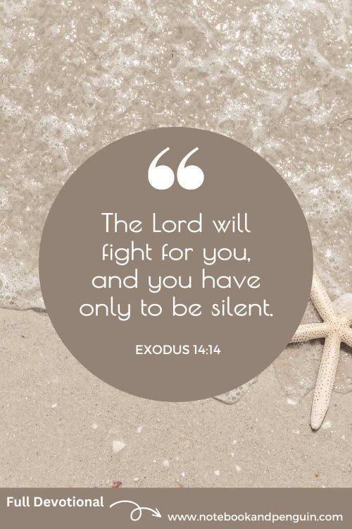 Daily Devotional: Exodus 14:14 (Trusting God In Tough Times)