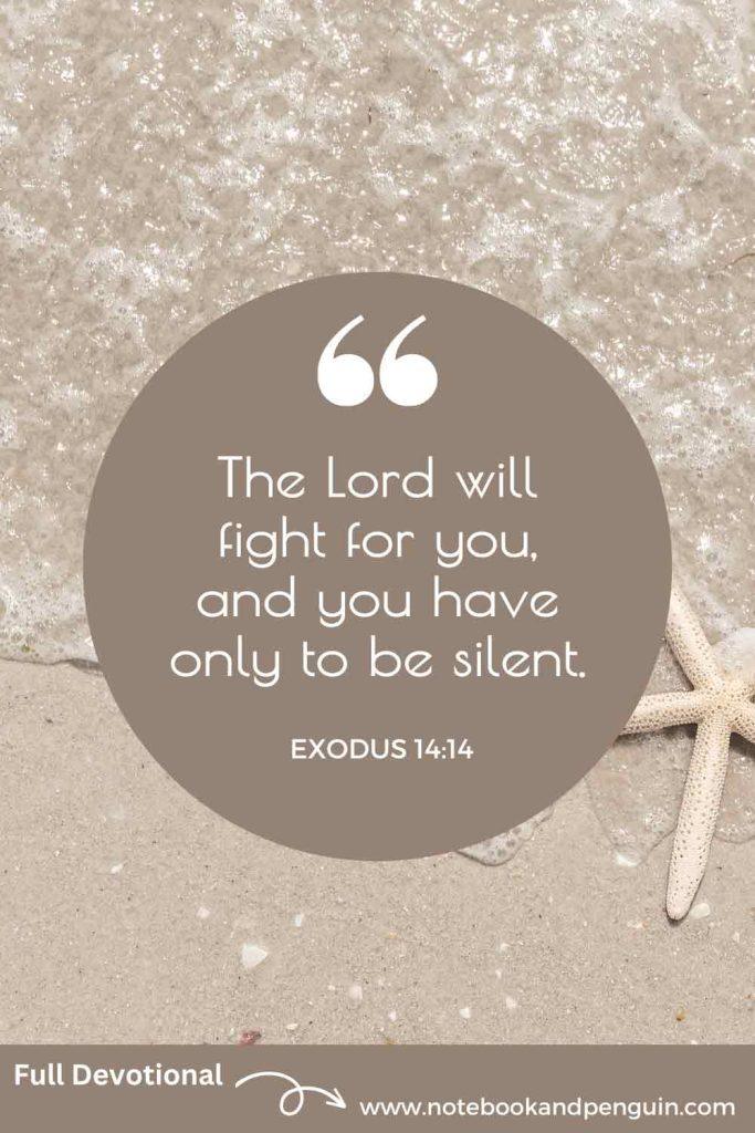 Daily Devotional: Exodus 14:14 (Trusting God In Tough Times)