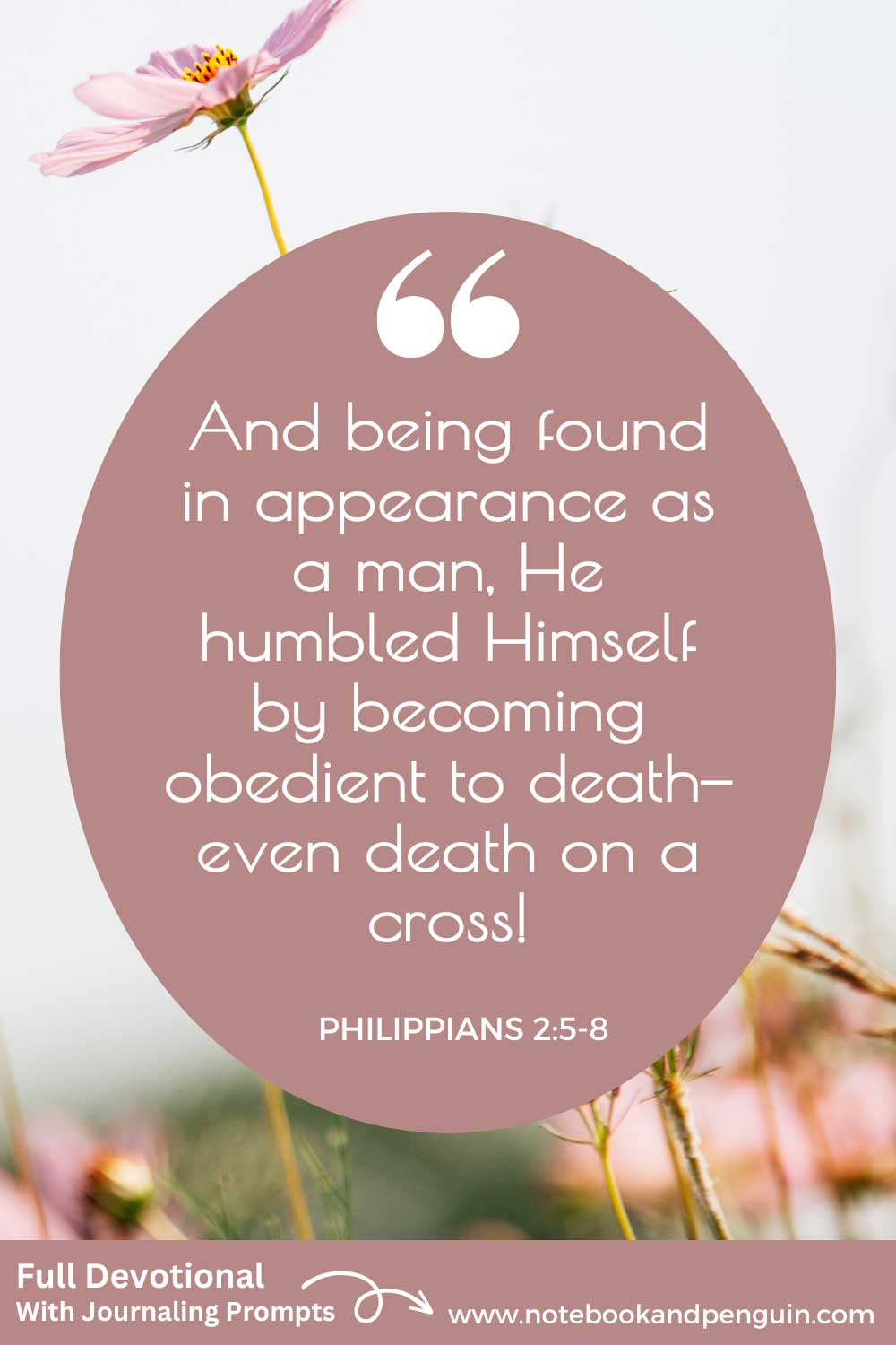 Daily Devotional: Philippians 2:5-8 (Christ, The Servant)