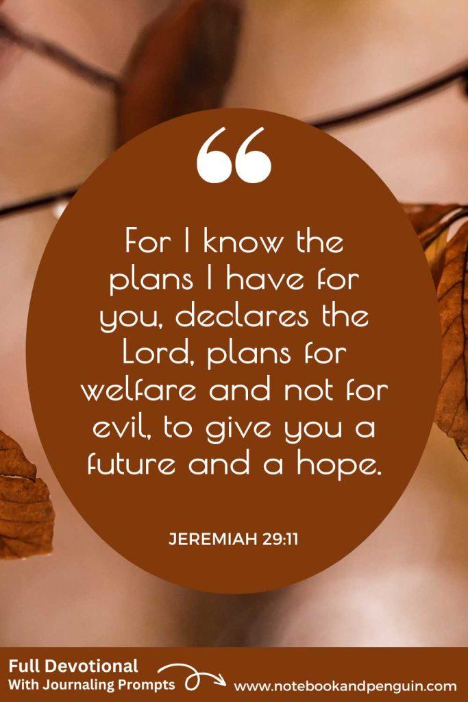 Scripture Devotional: Jeremiah 29:11 (God's Good Plans For Us)