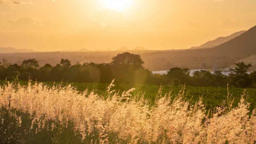 Devotional: Matthew 6:34 (Fear Of The Future)