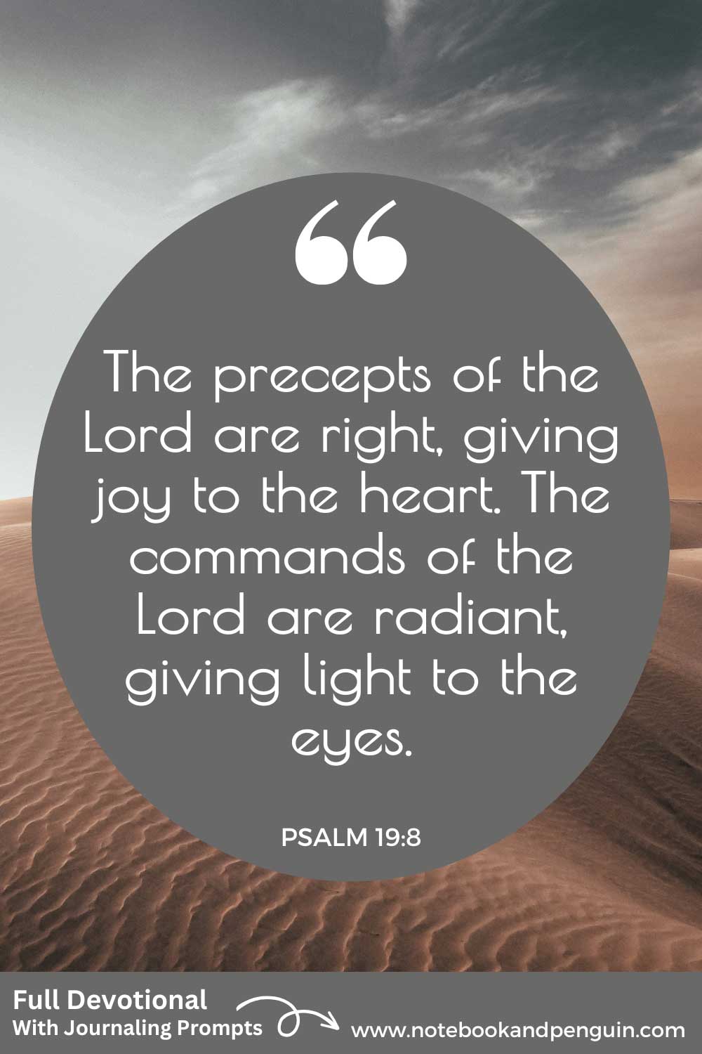 Devotional: Psalm 19:8 (Finding Joy In God's Word)