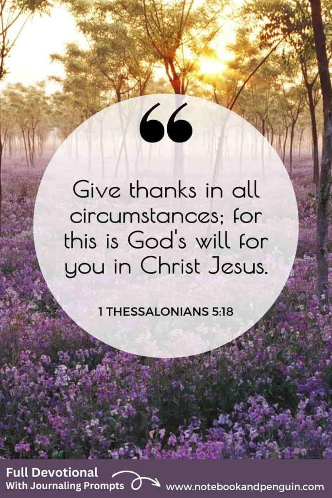 Devotional: Science & Scripture Agree, Gratitude Rewires Your Brain