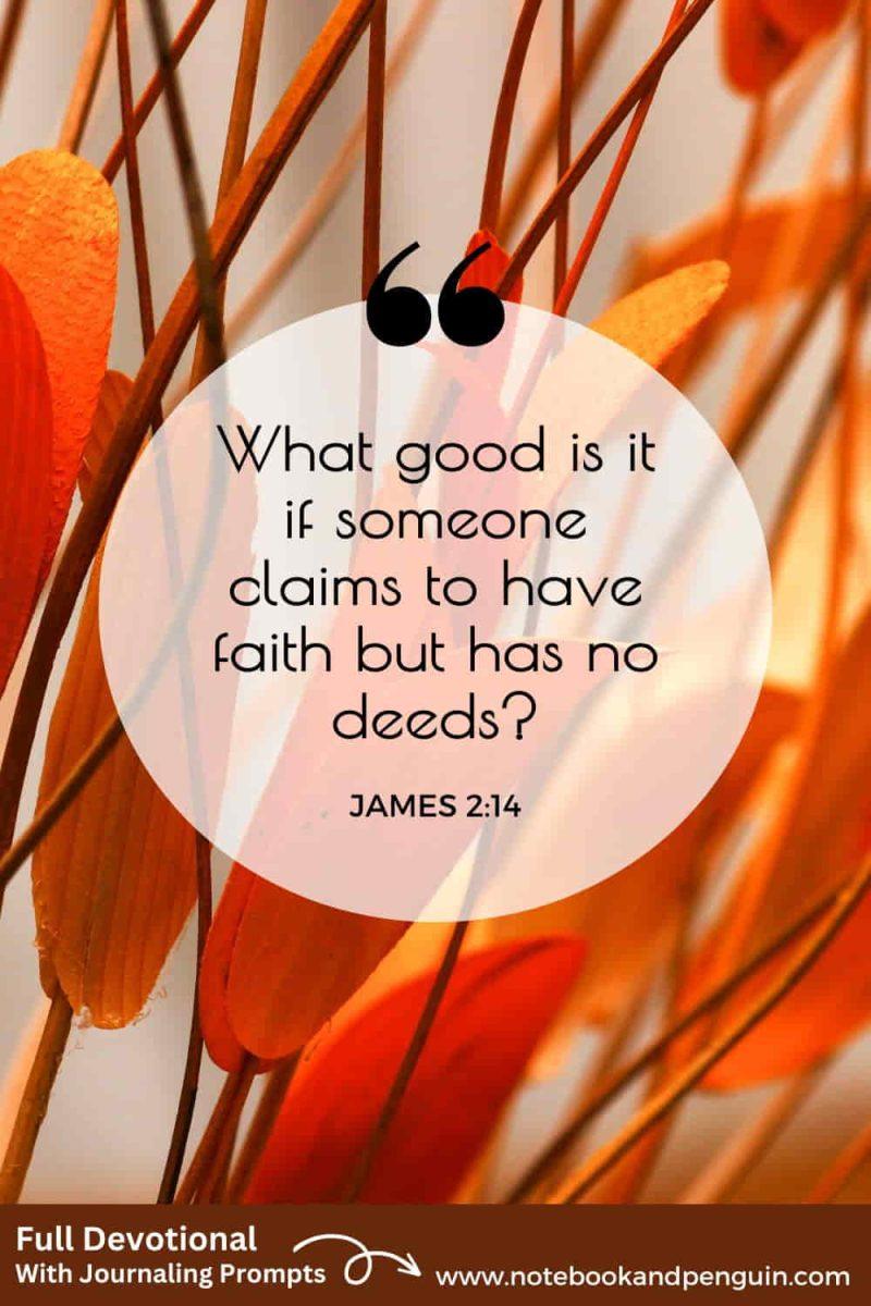 Daily Devotional: James 2:14 (Faith In Action)