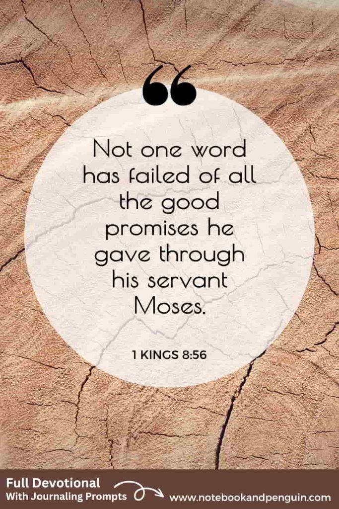 Why You Can Trust God's Promises – 1 Kings 8:56 Devotional