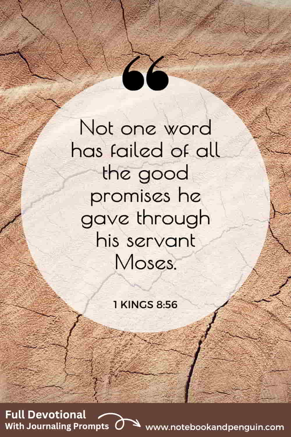 Why You Can Trust God's Promises – 1 Kings 8:56 Devotional