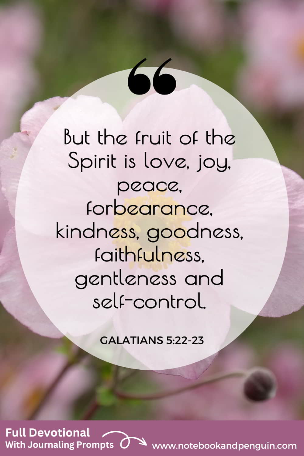 How To Grow Spiritual Fruit Without Burning Out (Galatians 5:22-23)