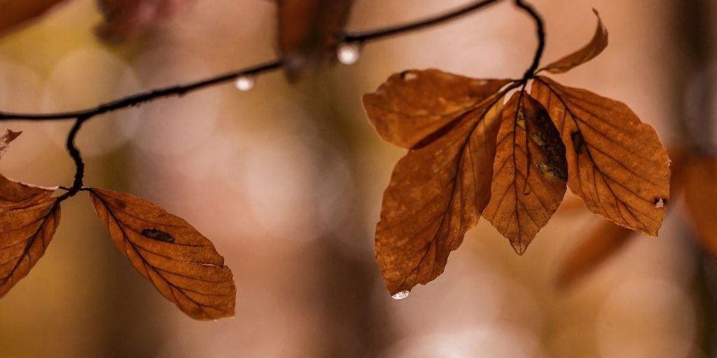 Finding Security In God's Unchanging Love (Hebrews 13:8)