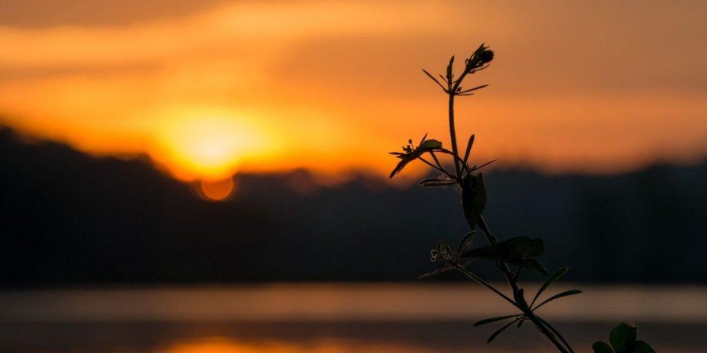 Why Did Jesus Say He Came To Bring Division? (Luke 12:25)