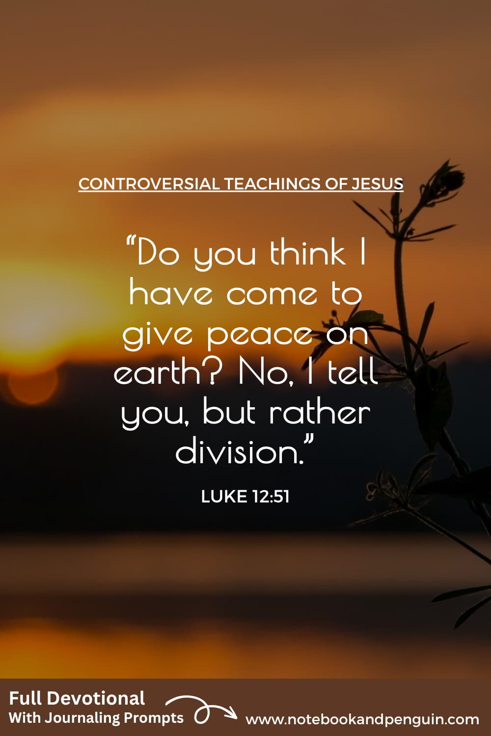 Why Did Jesus Say He Came To Bring Division? (Luke 12:25)