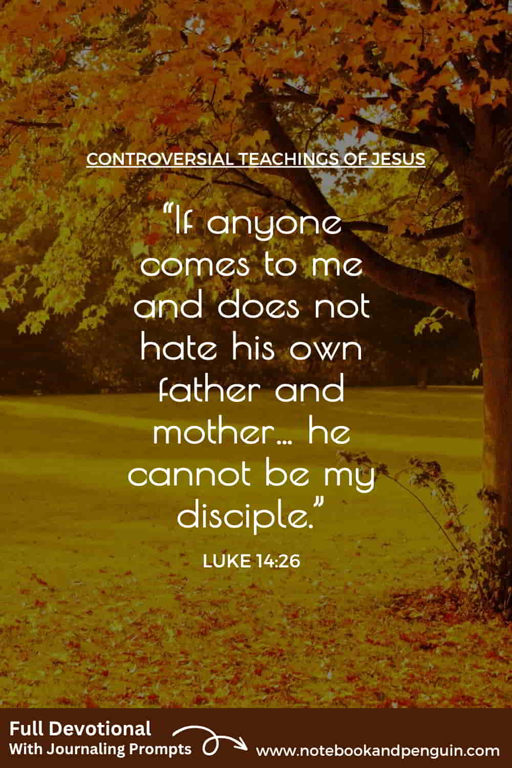 What Jesus Really Meant When He Said ‘Hate Your Family’ (Luke 14:26)