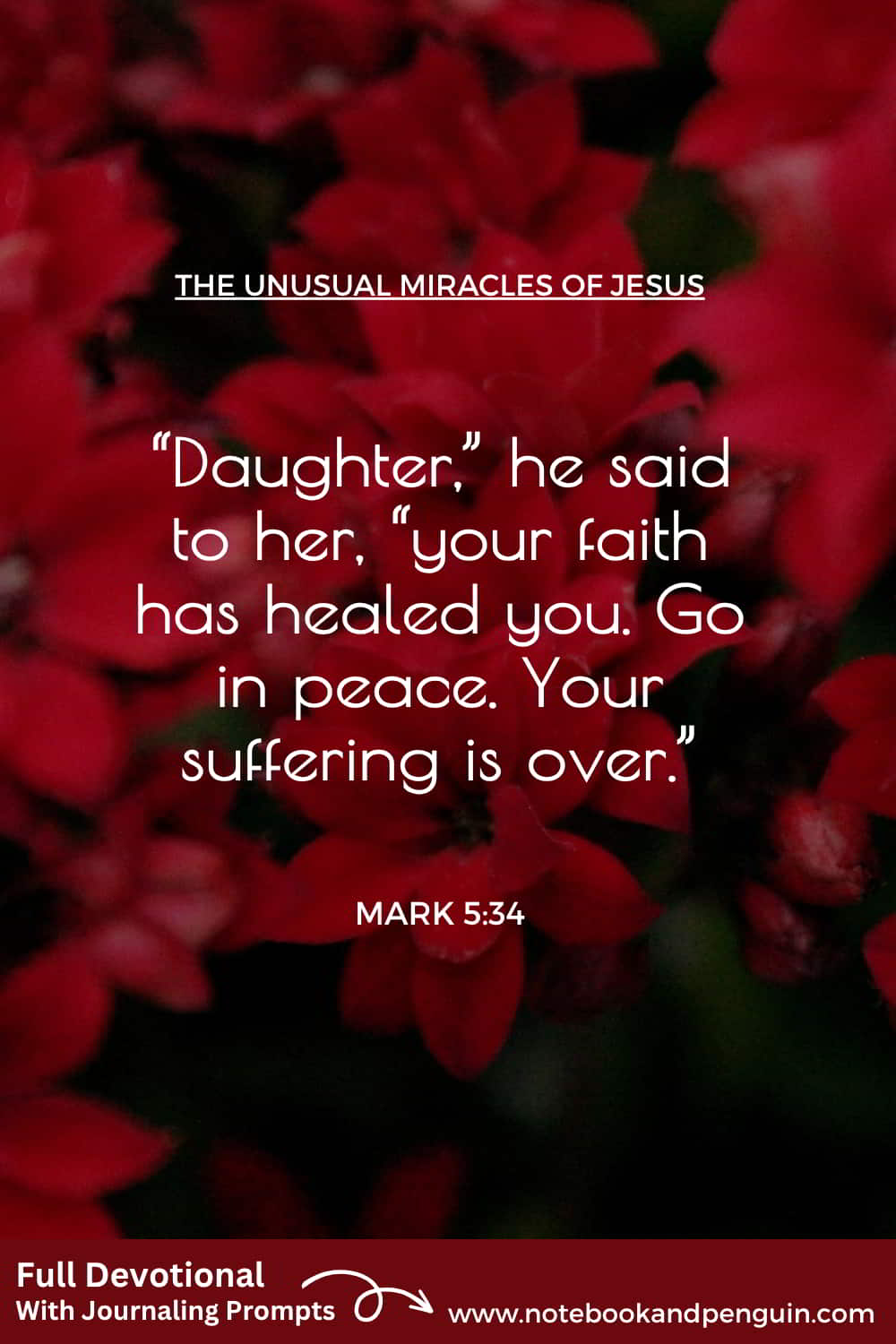 The Faith Of The Woman Who Touched Jesus (Mark 5:25-34)