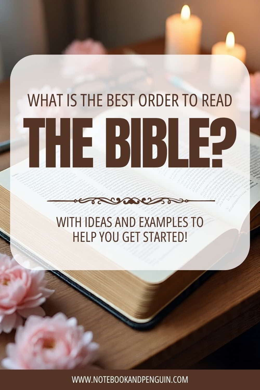 The Best Order To Read The Bible: 5 Ideas To Get You Started