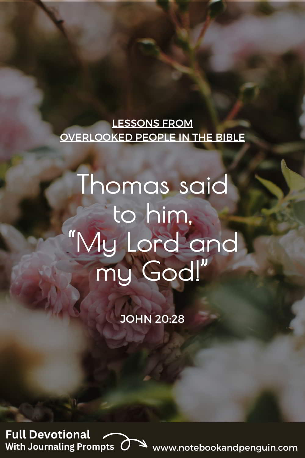 Doubting Thomas? The Truth Behind His Questions (John 20:28)