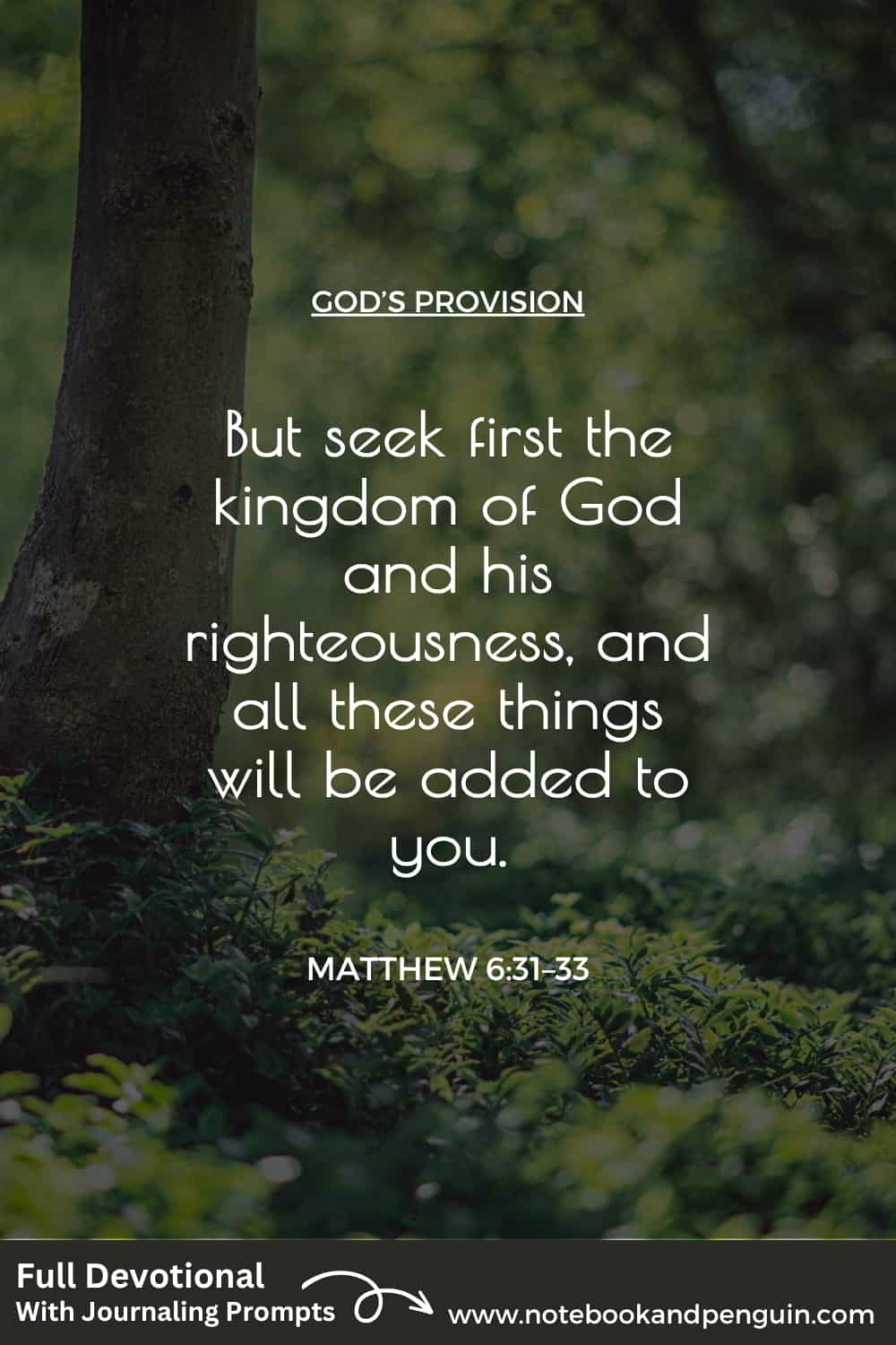 Faith Over Worry: God Will Meet Your Needs (Matthew 6:31–33)