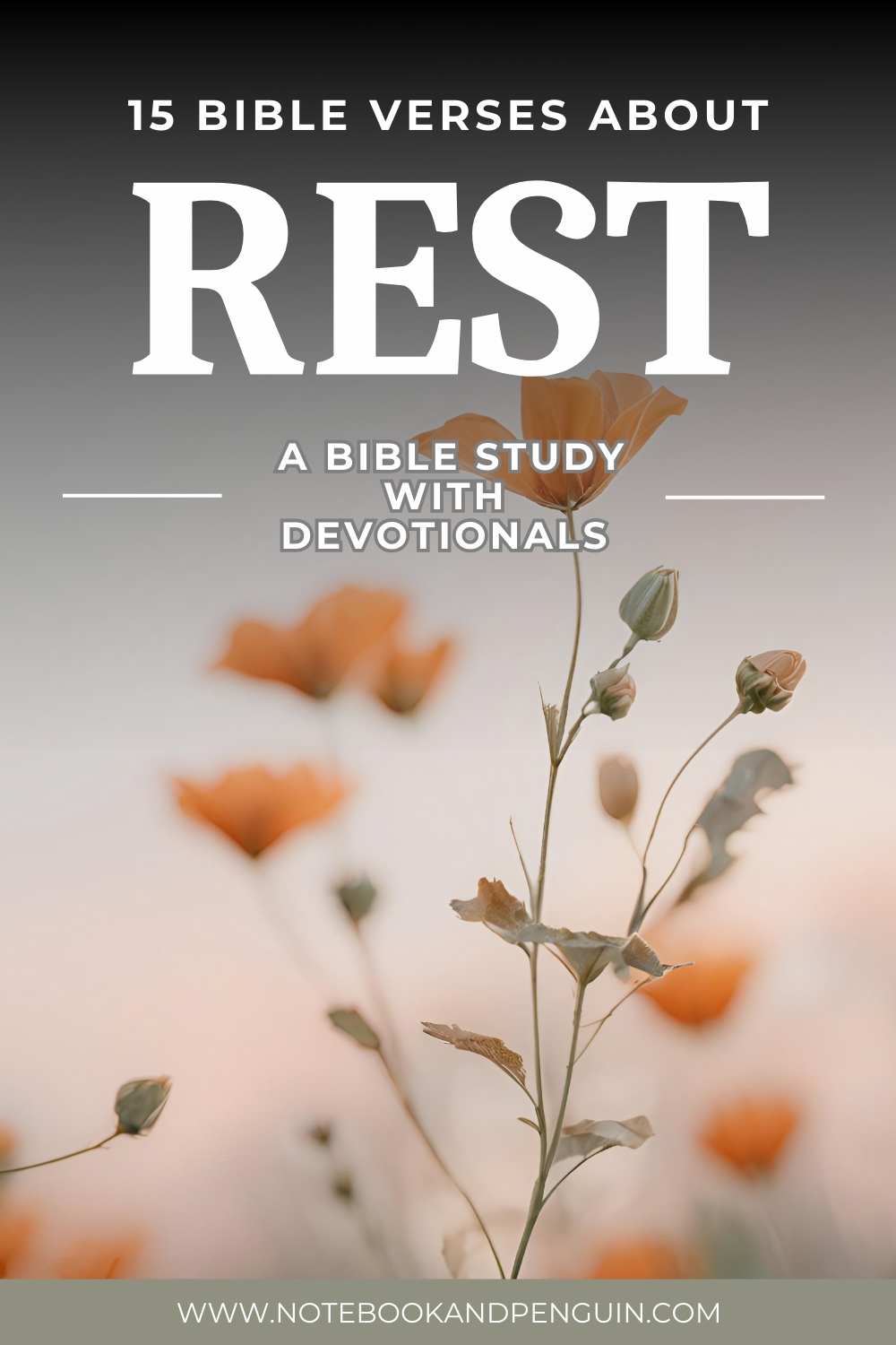 Bible Verses About Rest And How To Apply Them To Your Life