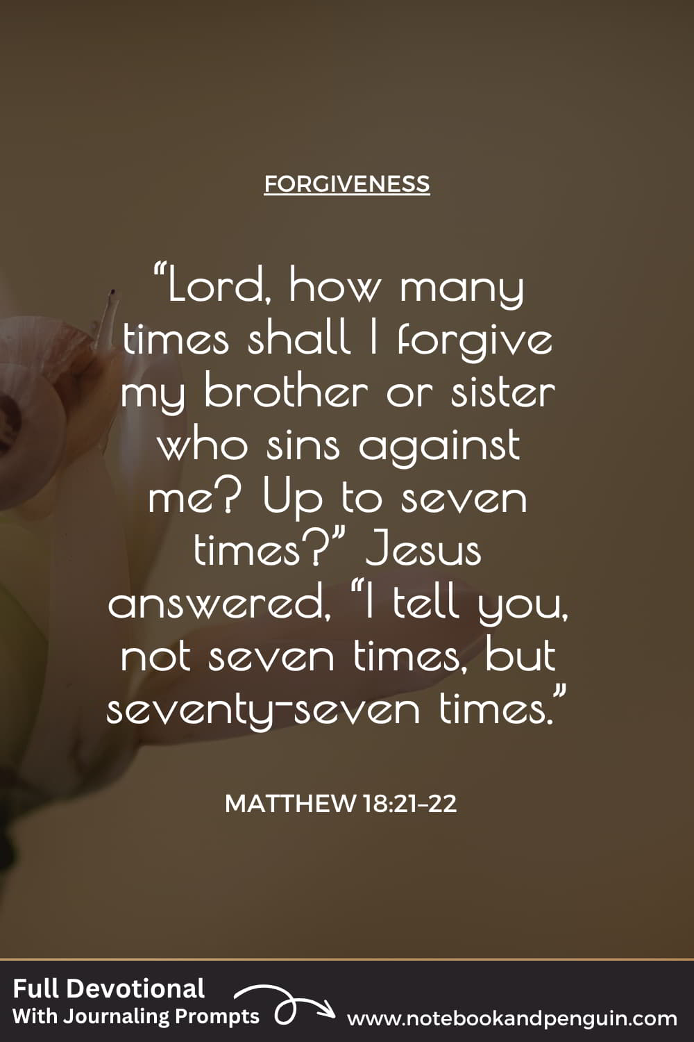 Forgiving Without Keeping Score: A Guide To Matthew 18:21–22