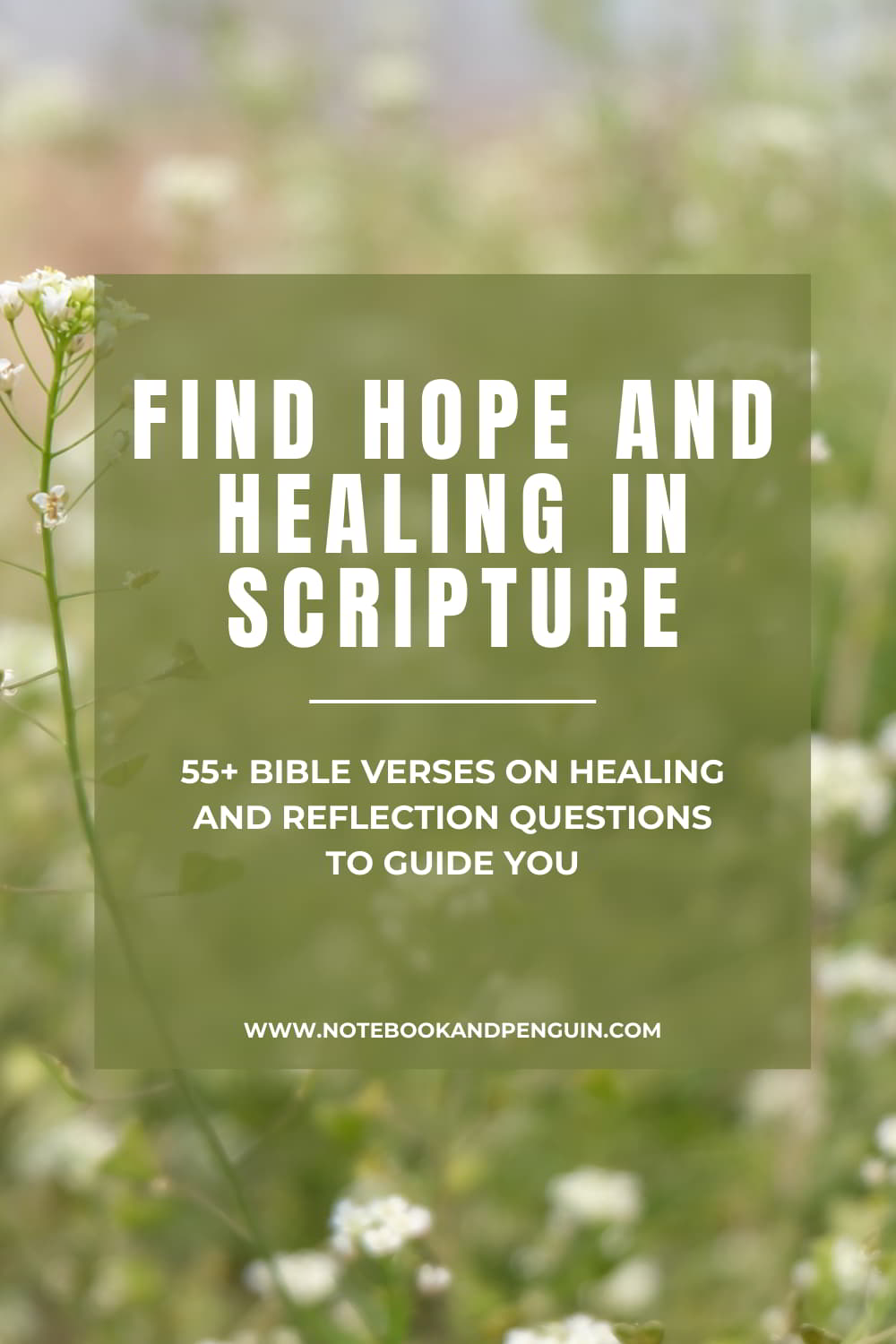 55+ Bible Verses About Healing (Bible Study & Reflection Questions)