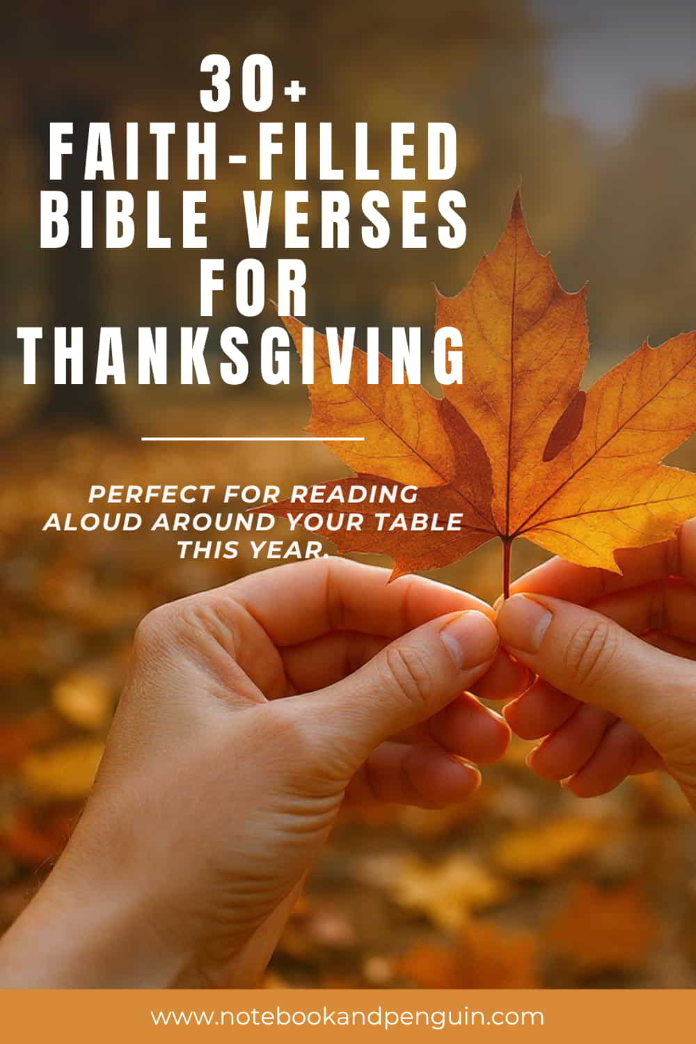 30+ Best Christian Thanksgiving Bible Verses About Gratitude