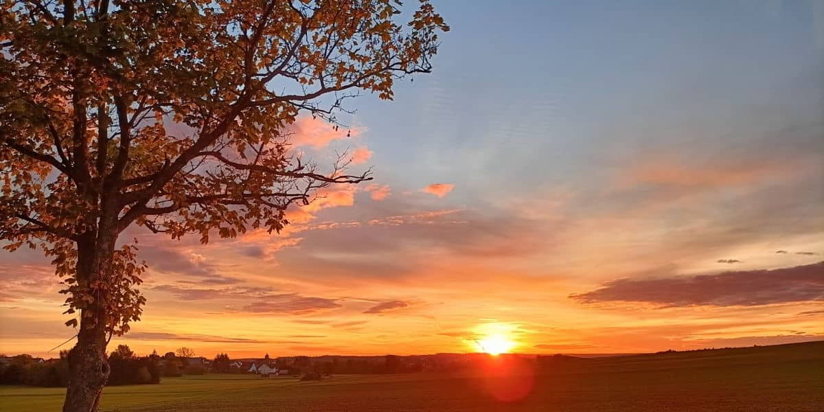 Free January Bible Reading Plan For 2026 (Printable PDF)