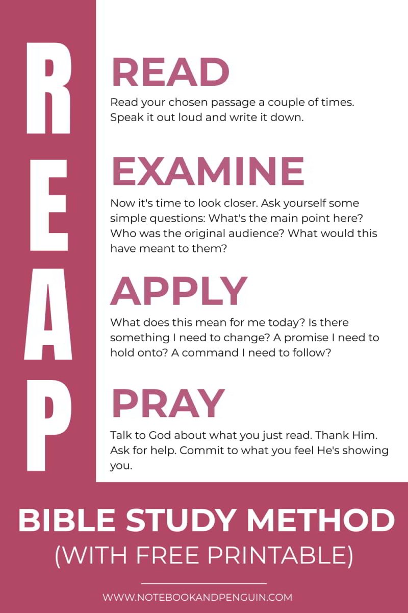 The REAP Bible Study Method (With Free PDF Template)