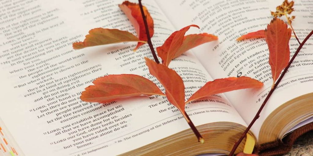 Bible Studies | Notebook And Penguin