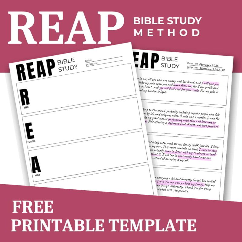 The REAP Bible Study Method (With Free PDF Template)