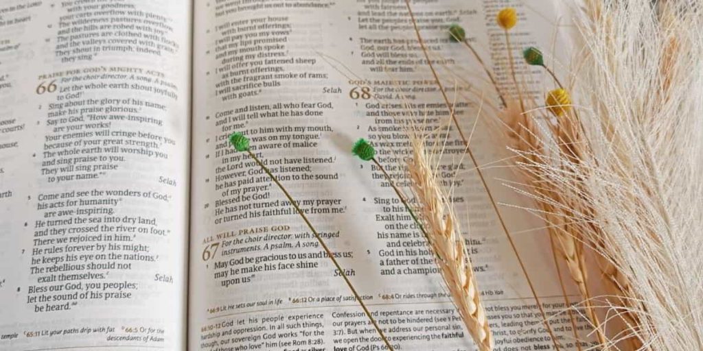 Bible Studies | Notebook And Penguin